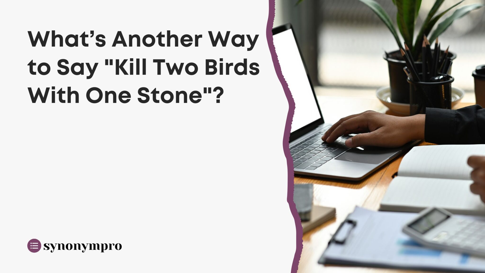 What Is Another Way to Say “Kill Two Birds With One Stone”? - SynonymPro